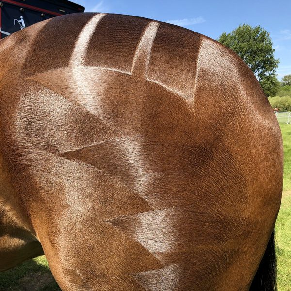 Shop Online – SJH Equestrian