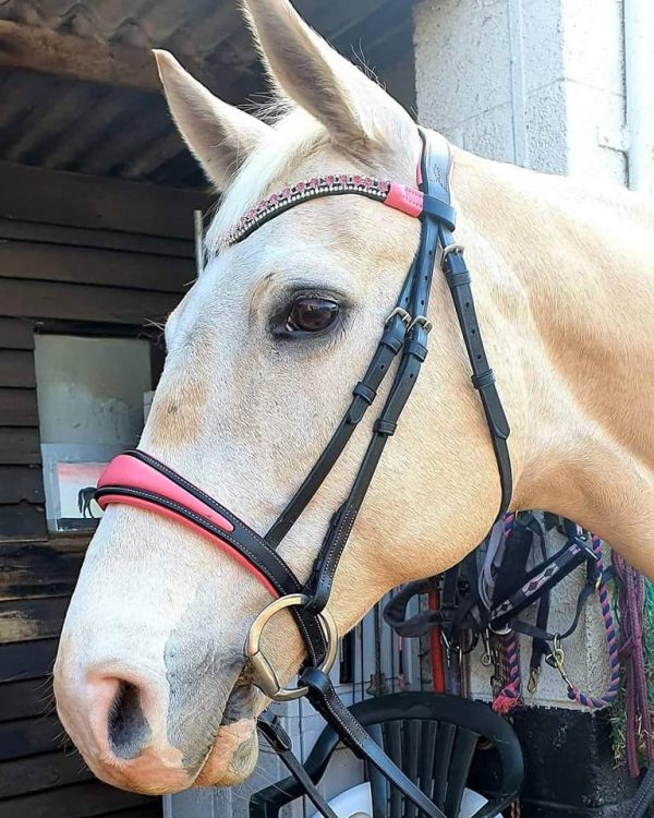 Barbie Pink Anatomical bridle – SJH Equestrian